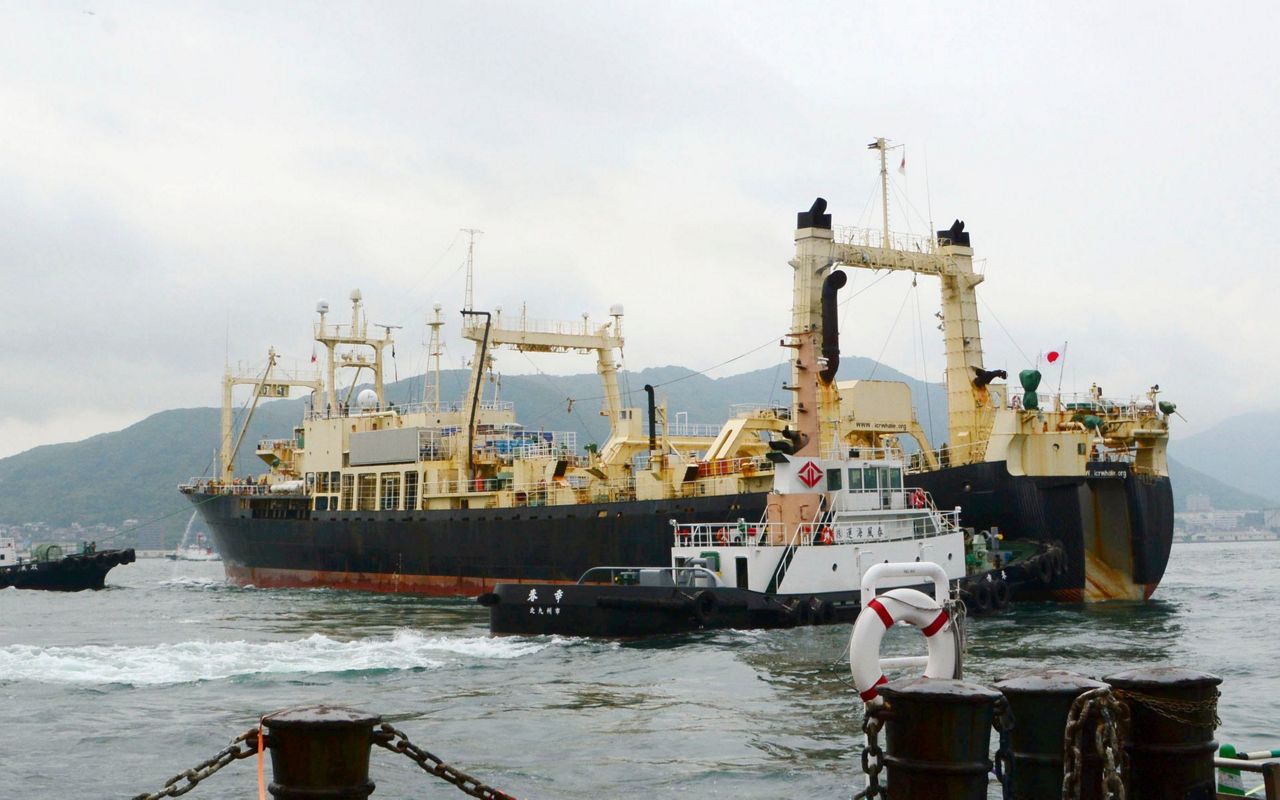 Japan resumes commercial whaling, seen as face-saving end