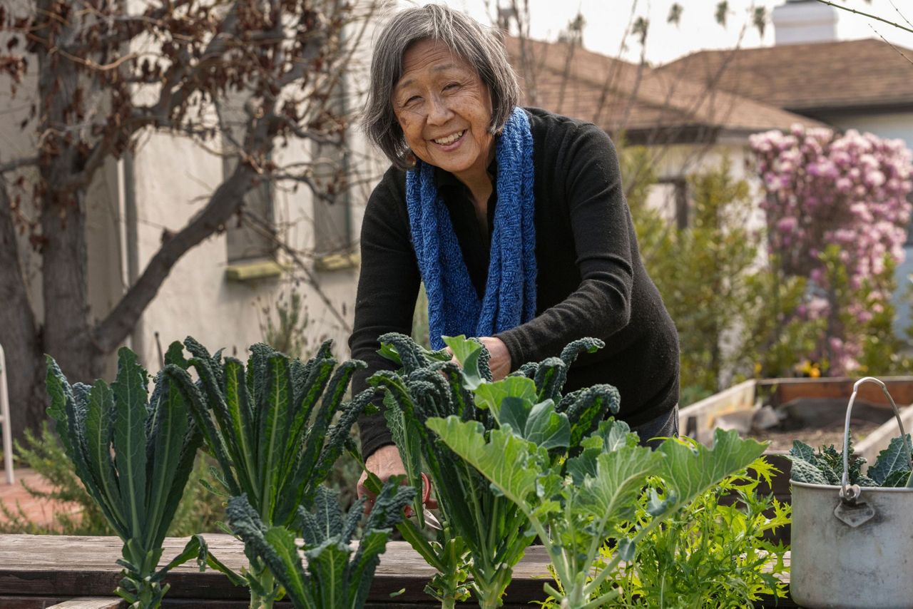 Japanese Americans won redress, fight for Black reparations