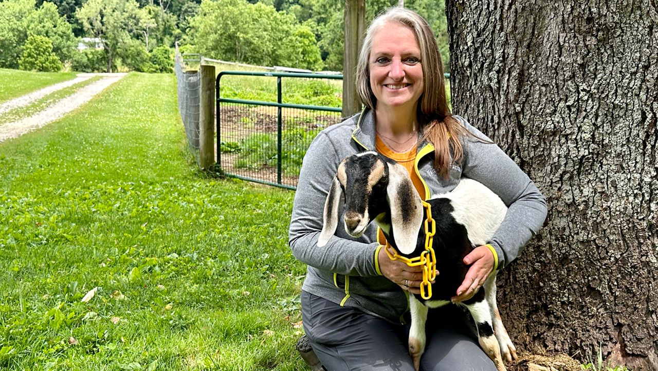 Regenerative agriculture sparks growth and sustainability