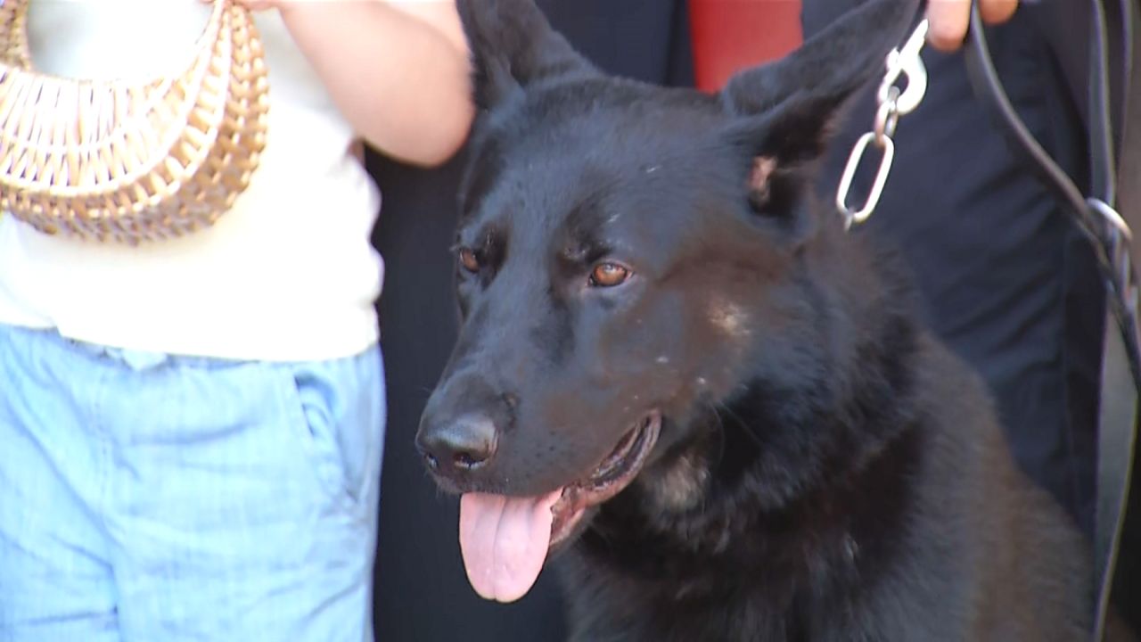 NYS Park Police K-9 named in honor of Buffalo firefighter
