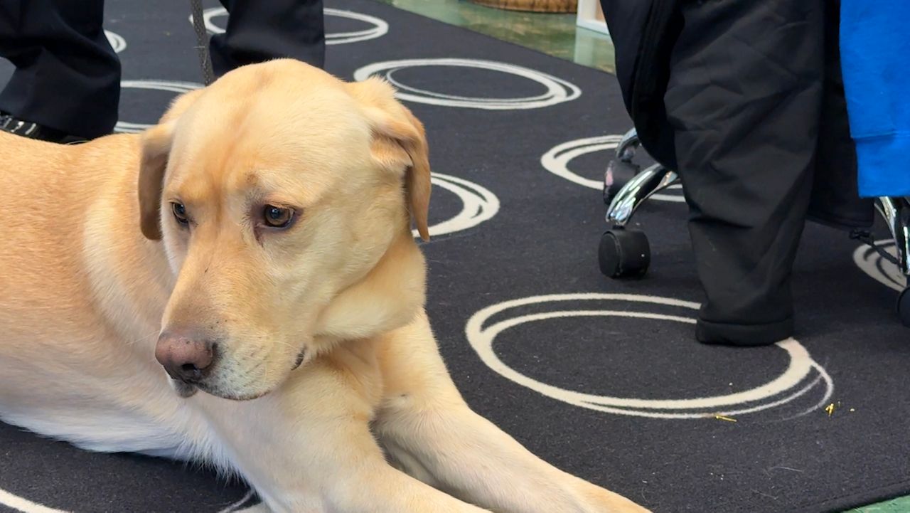 K9 helps traumatized children open up across Kentucky