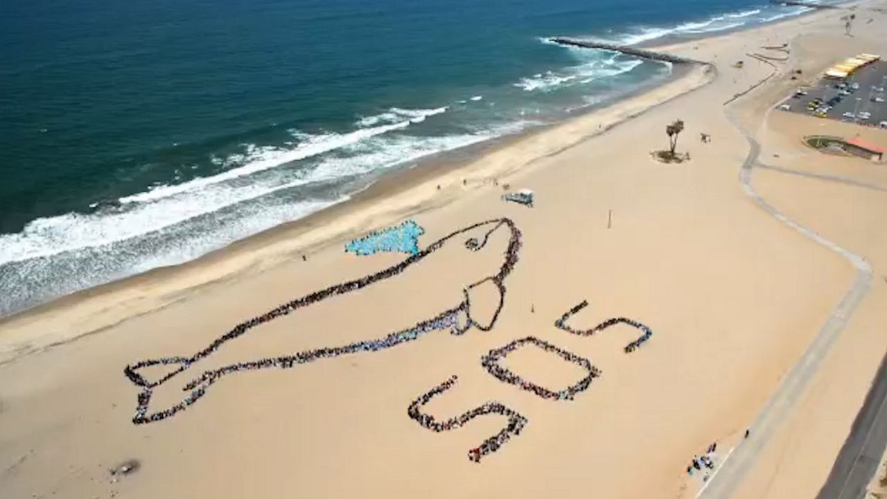 Kids Ocean Day highlights need to save the seas