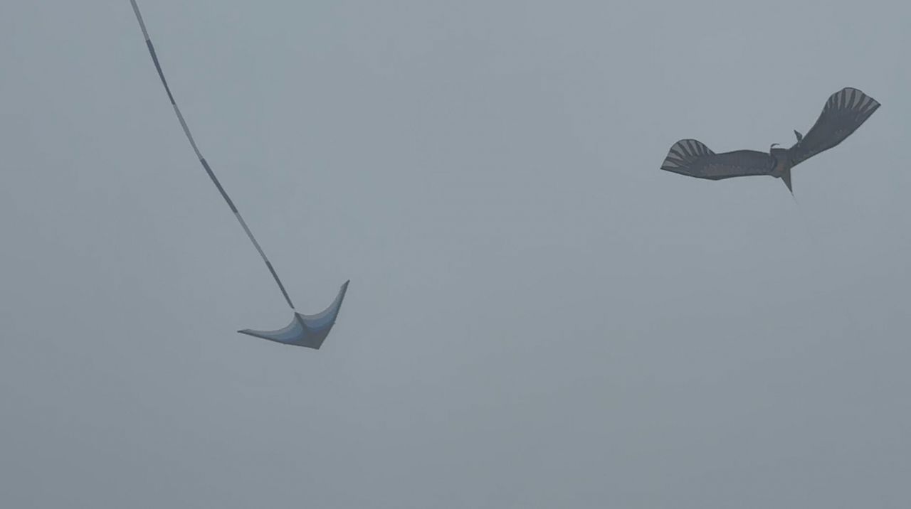 Flying kites in memory of fallen MPD Officer Michalski