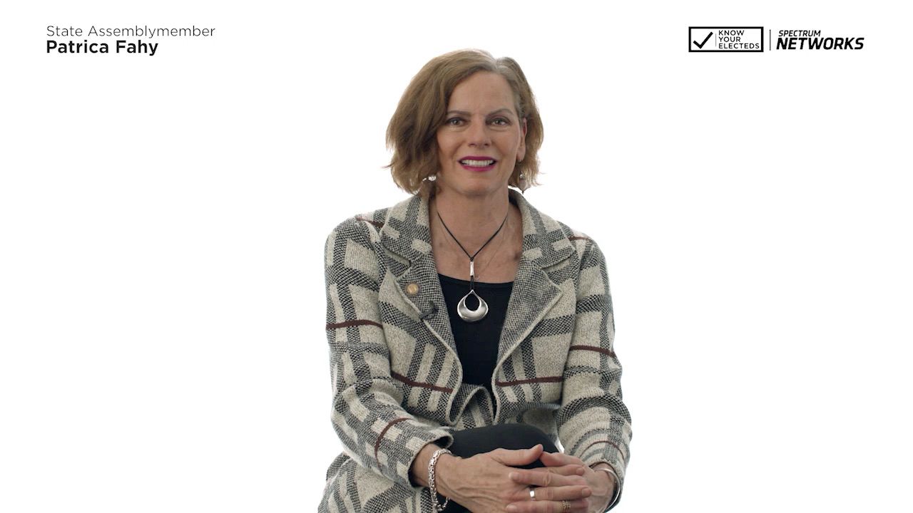 Know Your Electeds NYS Assemblymember Patricia Fahy