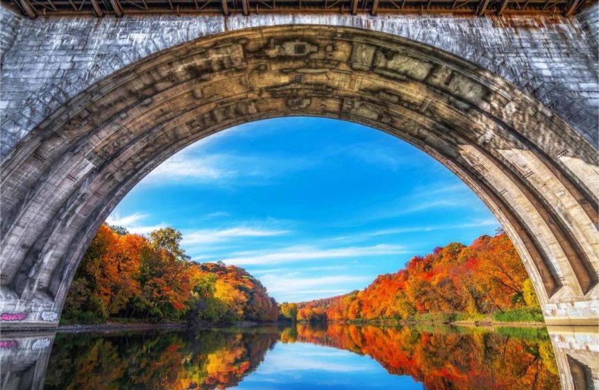 Foliage will be leaving most after this weekend