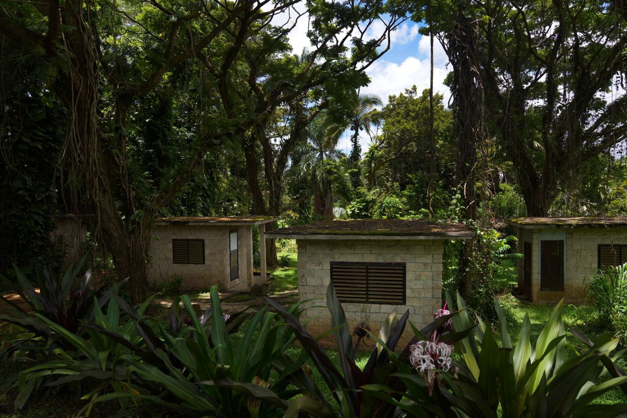 How a massive all-granite, hand-carved Hindu temple ended up on Hawaii ...