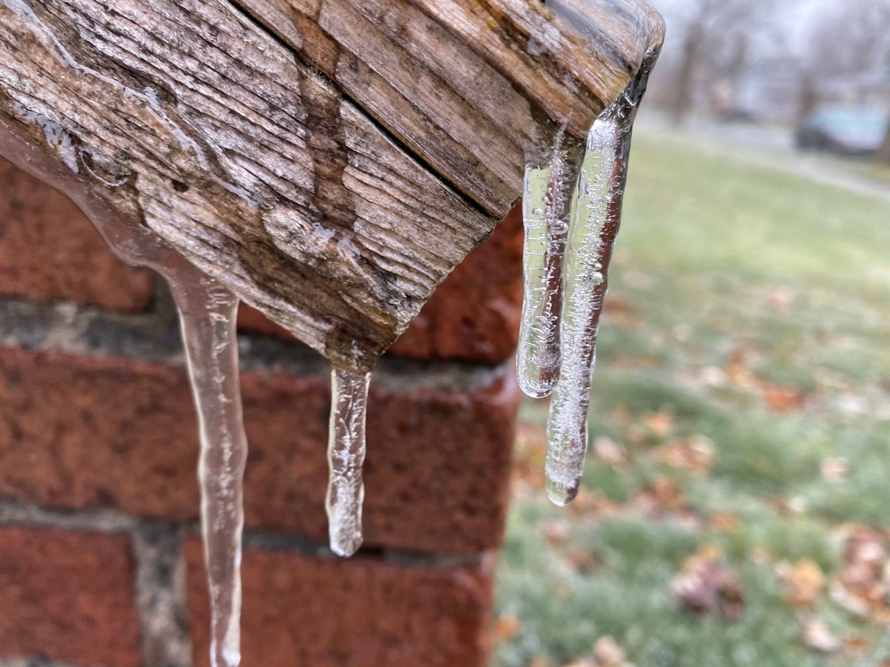 PHOTOS: An Icy Western New York