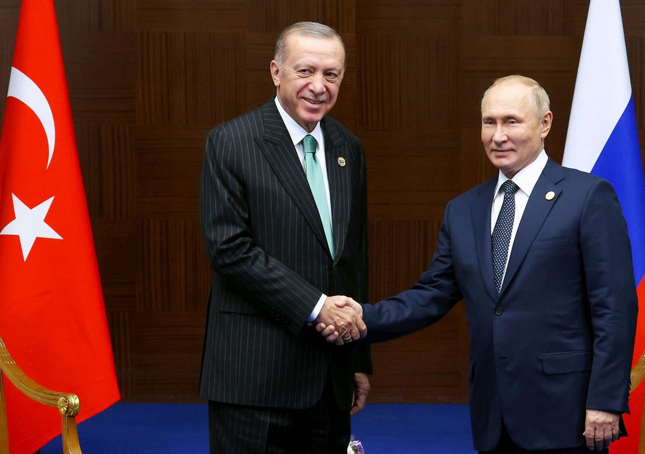 Turkey, Russia to study Putin's gas hub proposal