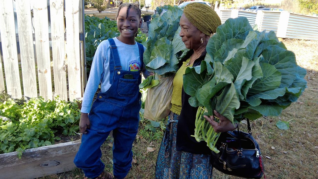 Nation's youngest farmer expanding operations