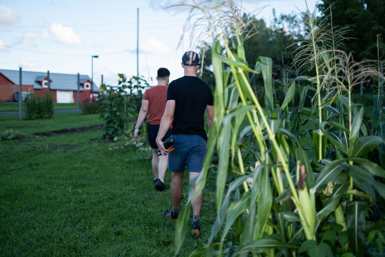 SU garden brings national attention to Indigenous culture