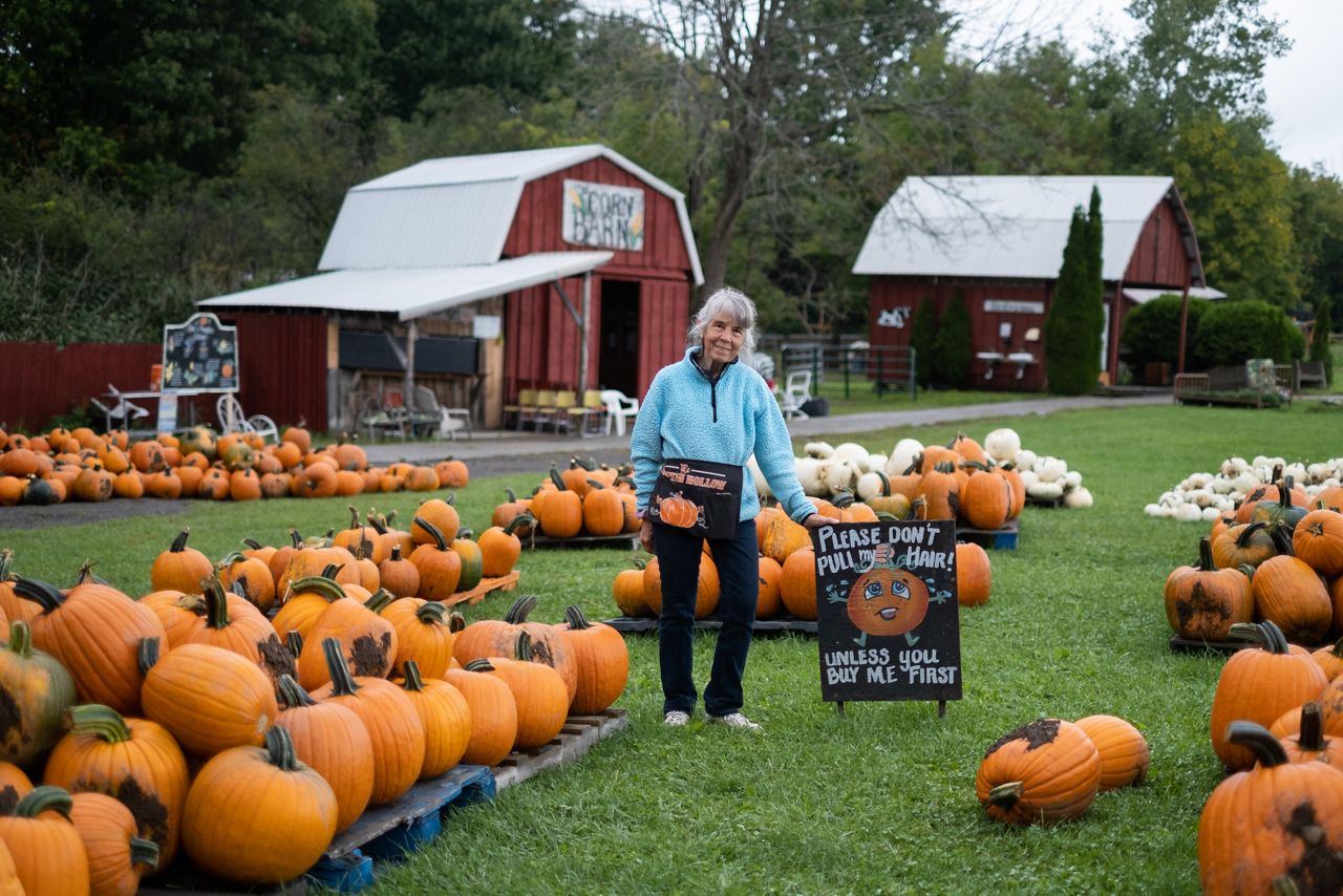 How the drought impacted this year’s pumpkin crop in CNY