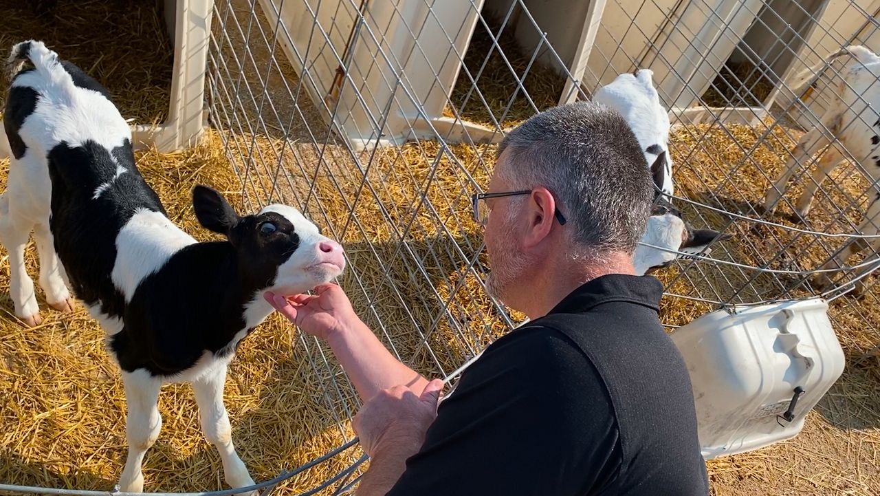 Milk prices and dry weather impacting farms