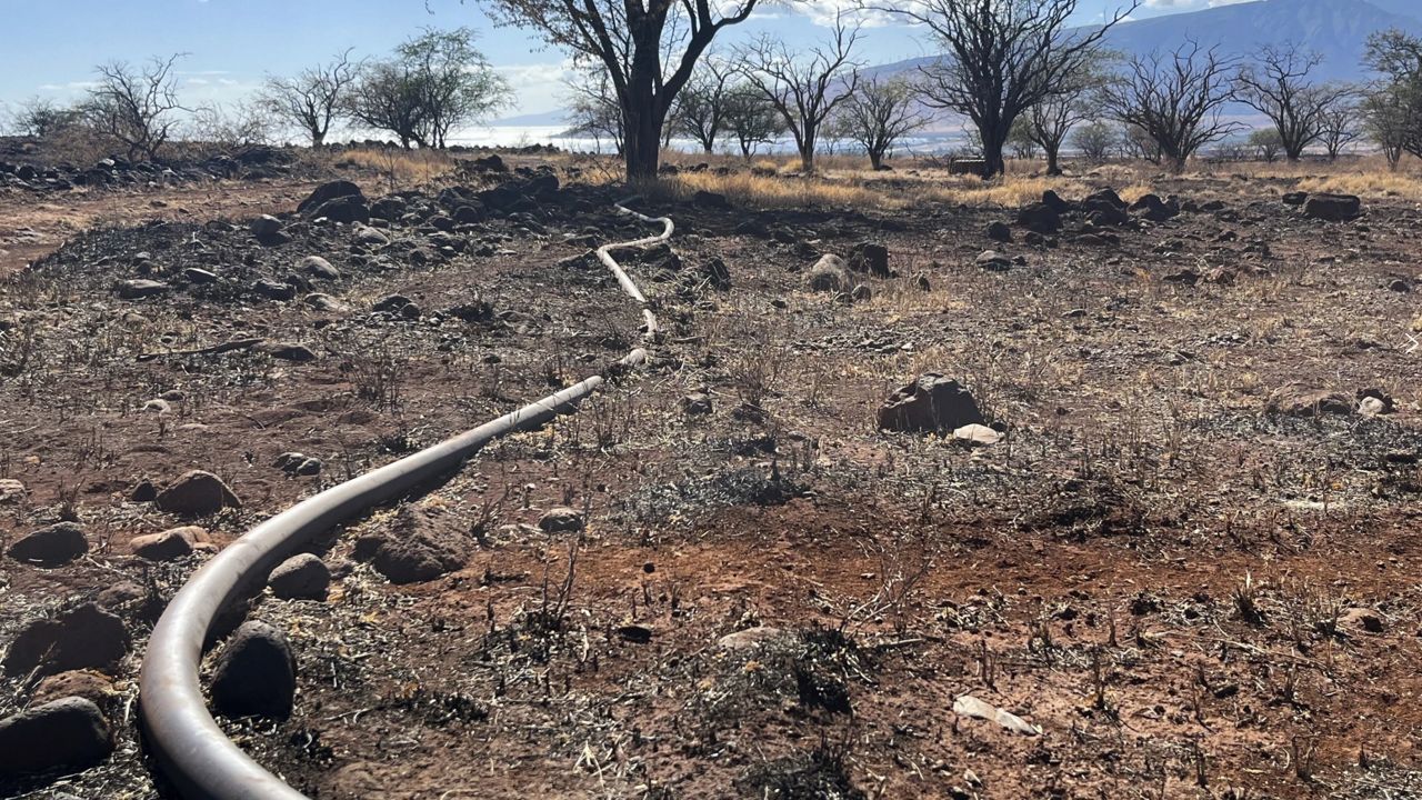 Previously undetected chemicals found in Kula, Olaa water