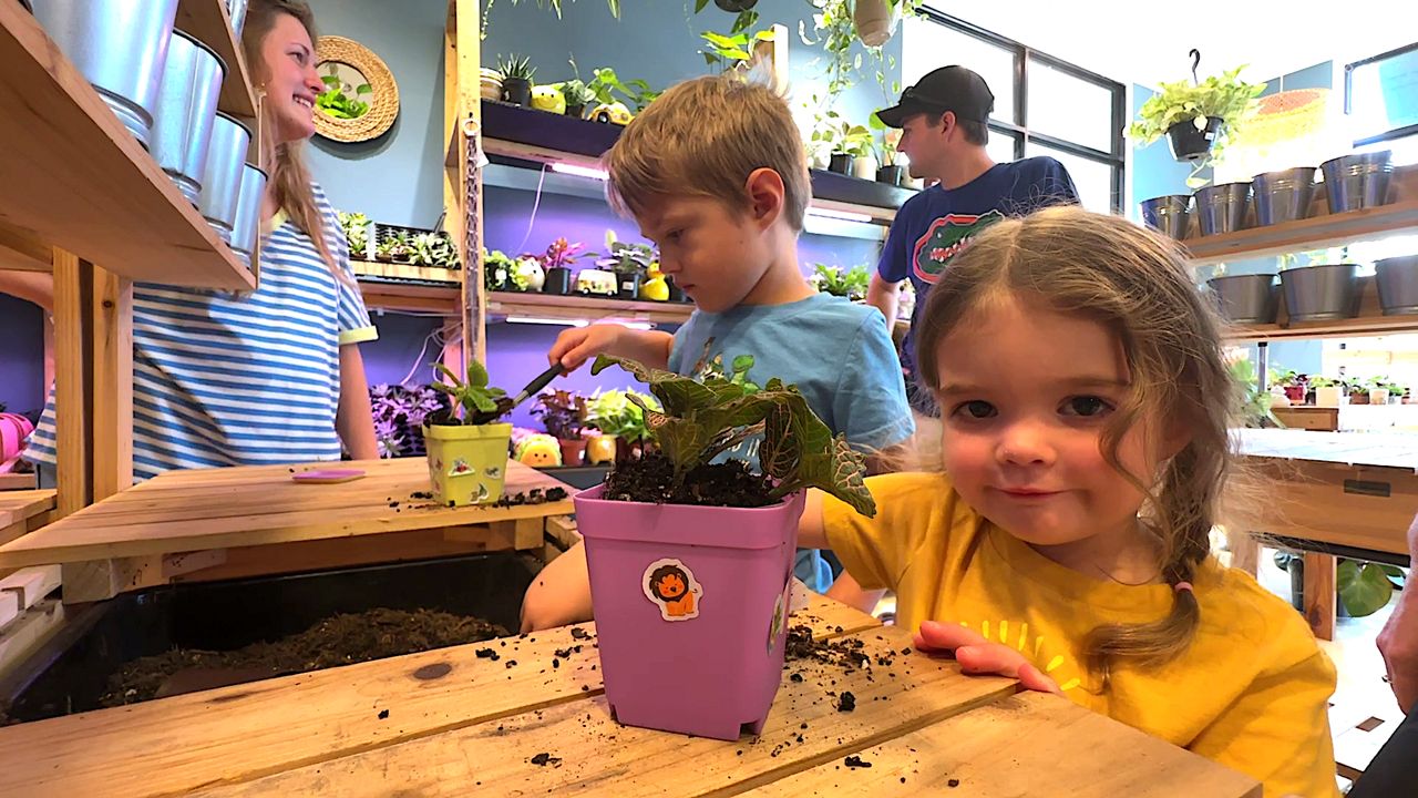 Let’s Plant It teaches about plant parenthood in Brevard