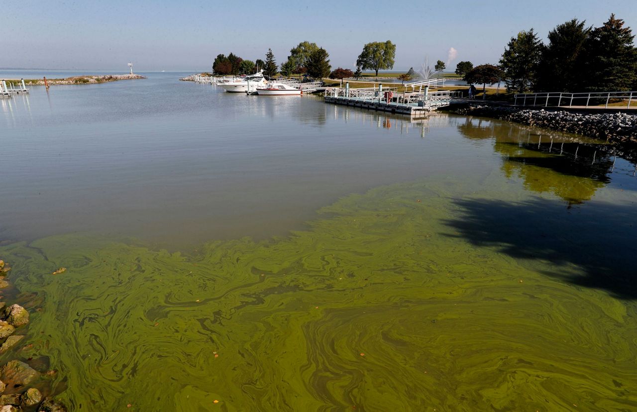 Another mild algae bloom forecast for Lake Erie this summer