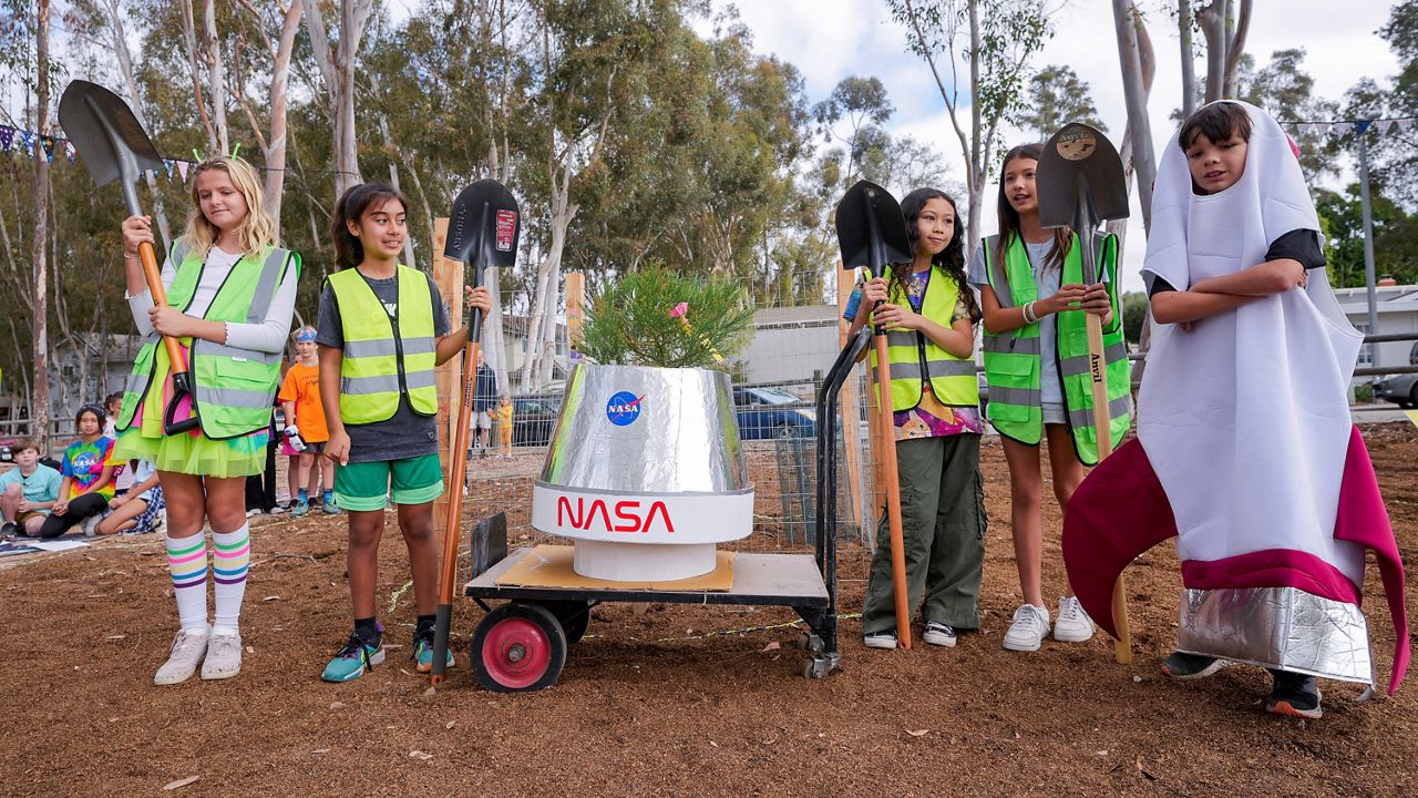 Lake Forest school plants 'Moon Tree,' seeds flown in space