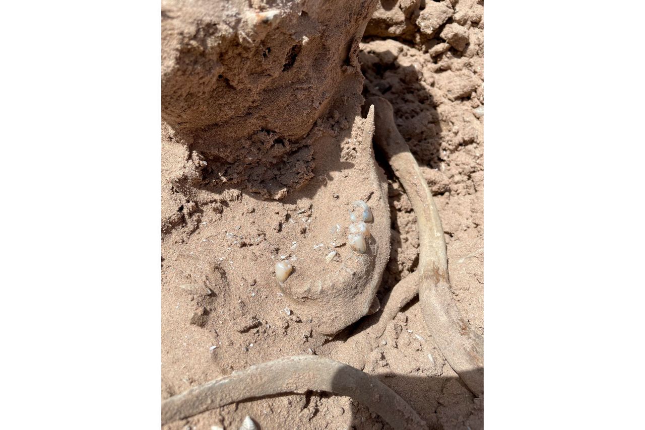 Bodies found in Lake Mead renew interest in Vegas mob lore