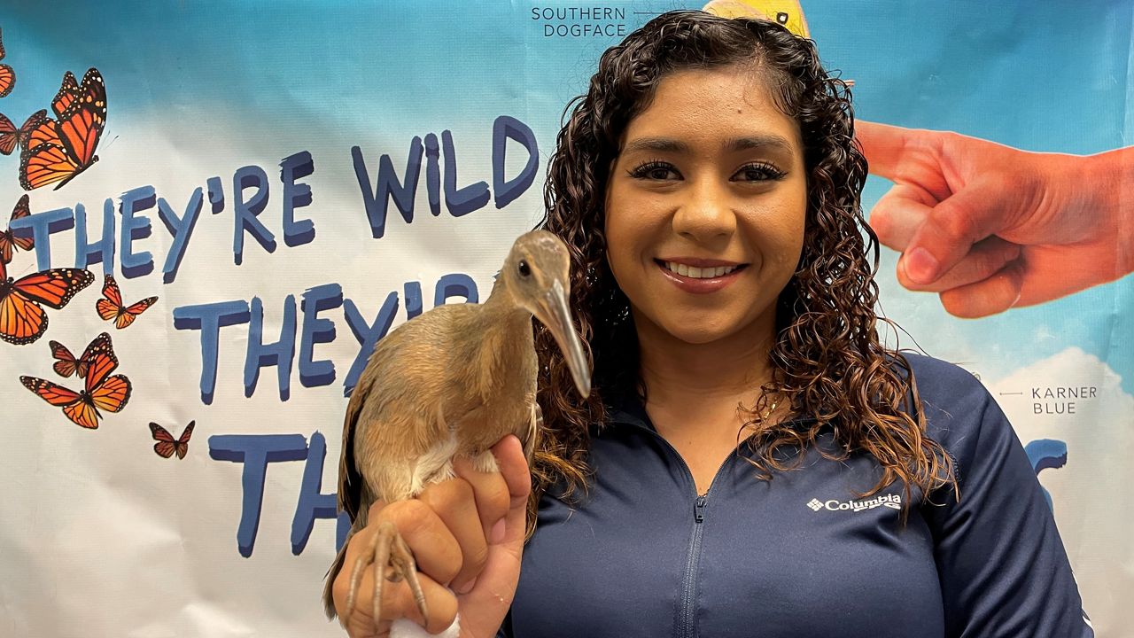 Latino Conservation Week