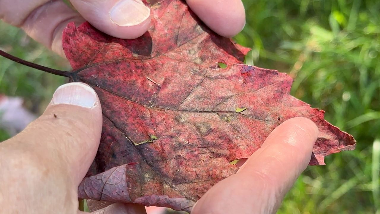 What you need to know today in North Carolina