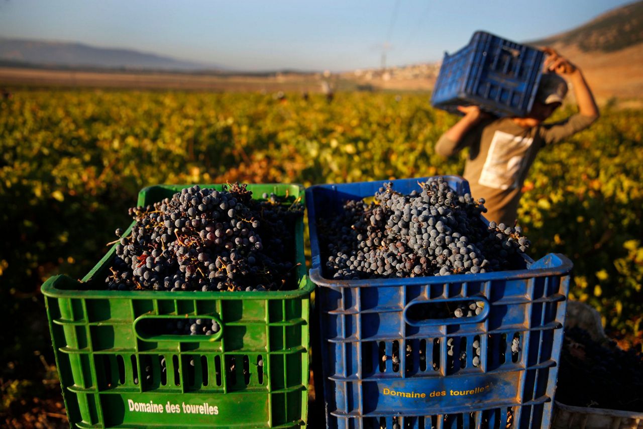 Making, drinking arak a source of national pride in Lebanon