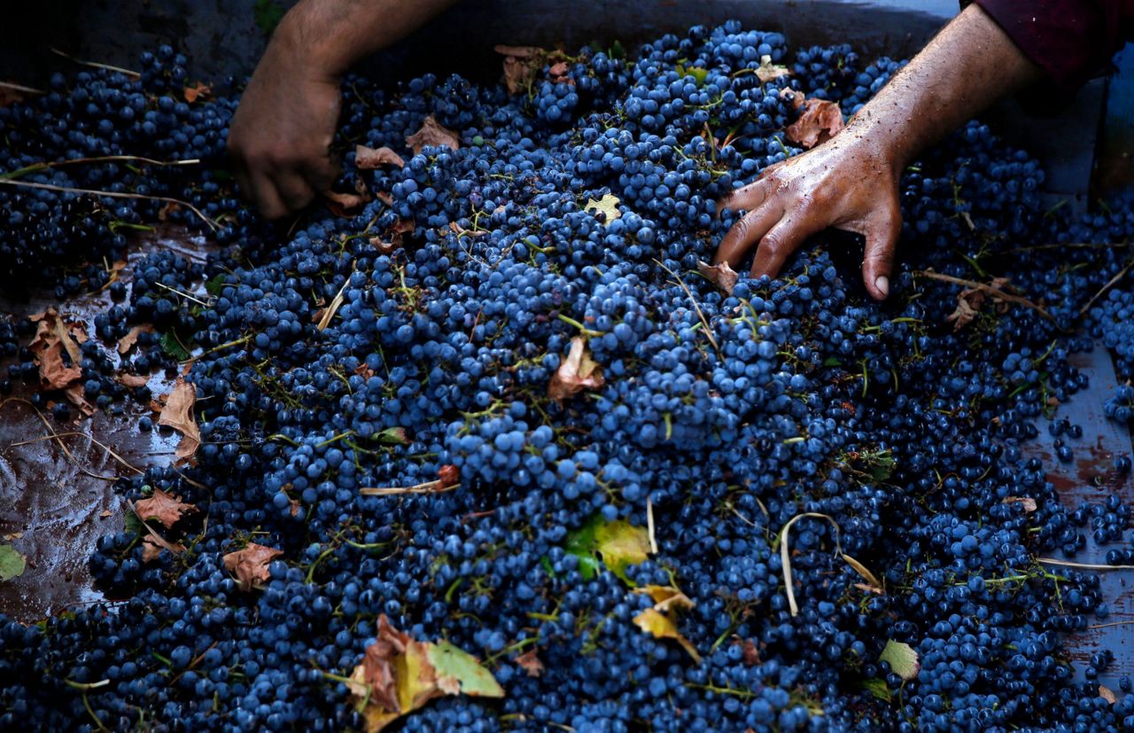 Making, drinking arak a source of national pride in Lebanon