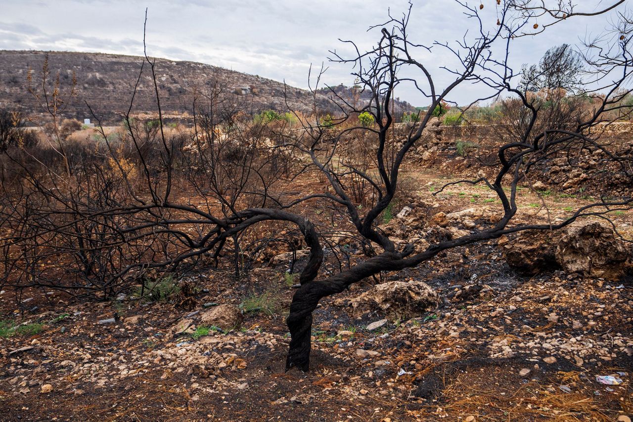 Lebanese residents of border towns come back during a fragile cease-fire