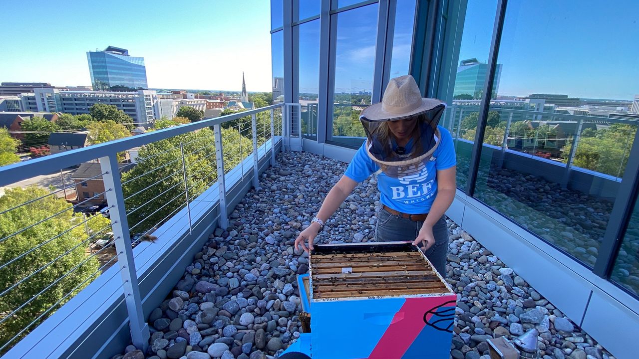 High-rise beehives: A new approach to beekeeping