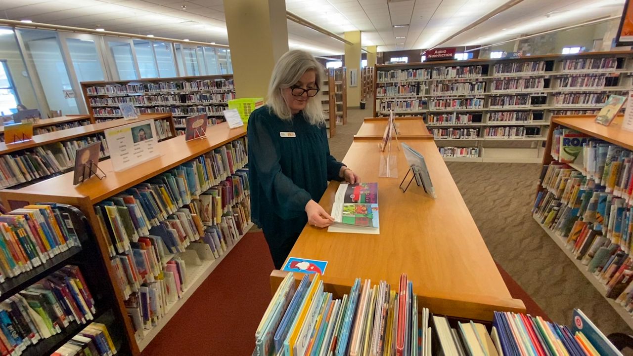 Brown County beefs up local libraries