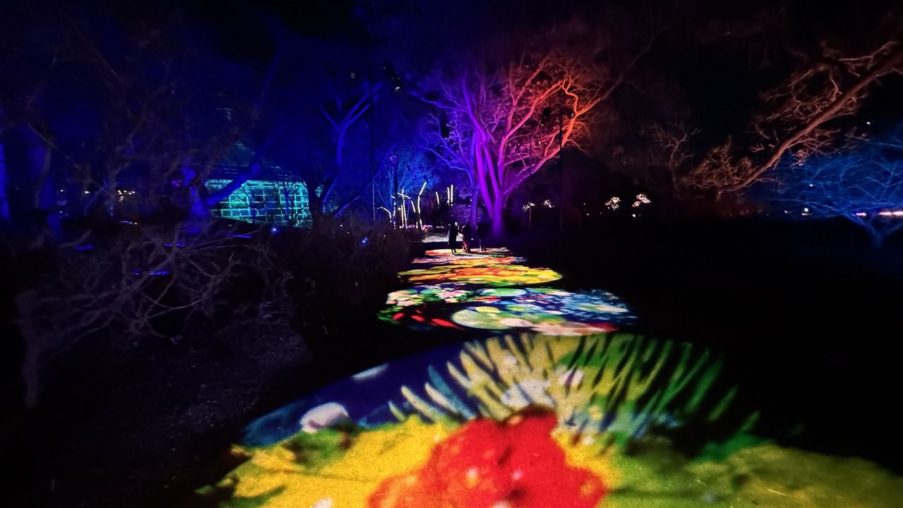 'Lightscape' returns to the Brooklyn Botanic Garden
