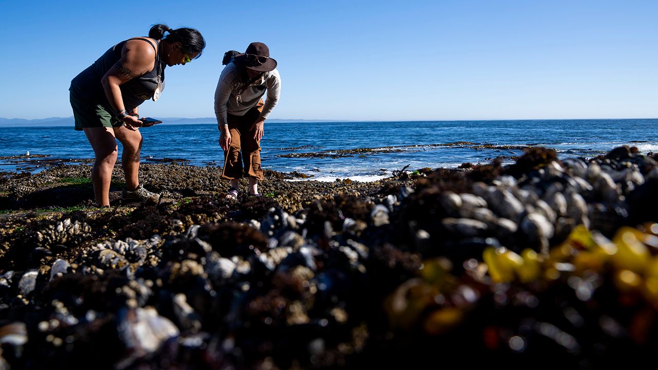 Indigenous peoples and climate change