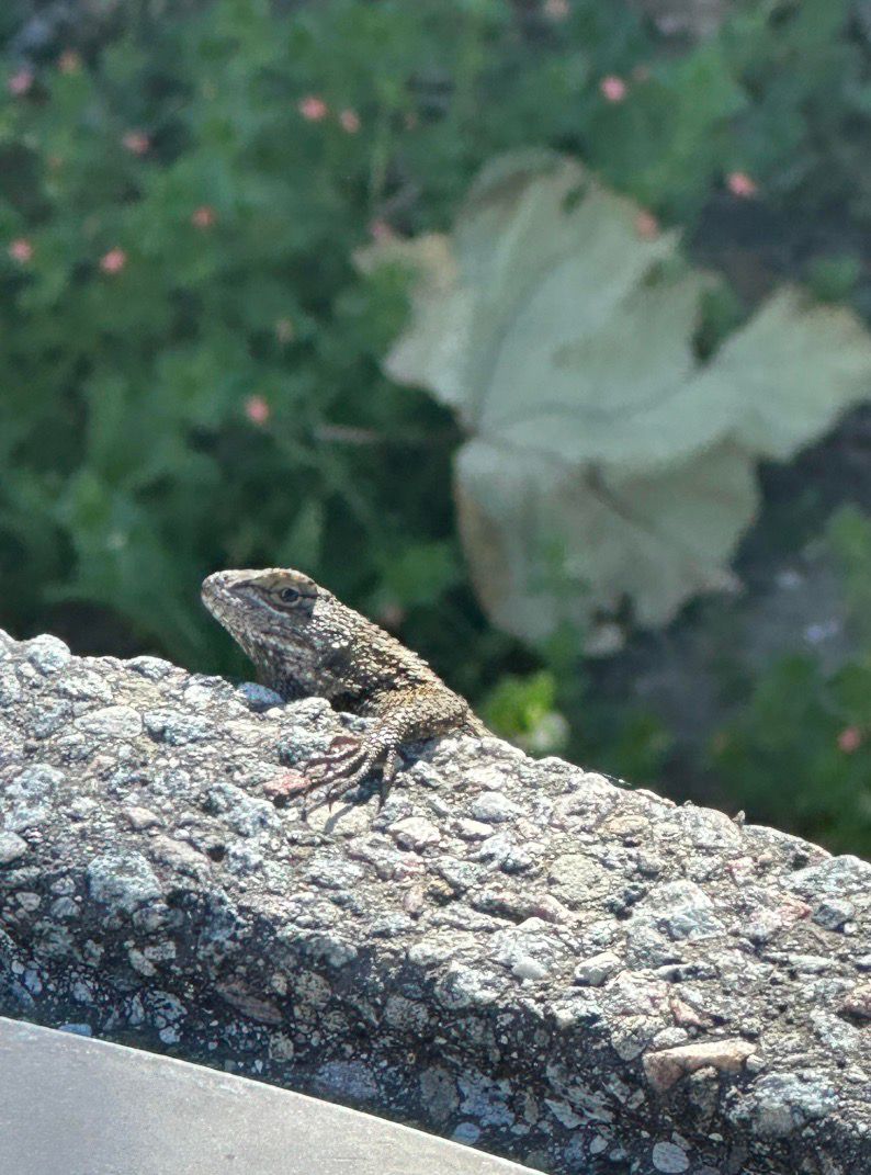 Time to get out and hike with all this Sunshine