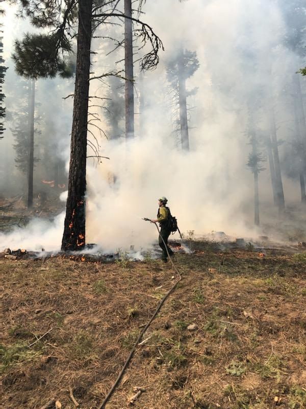 Wisconsin Man Accepts Dangers of Being Wildland Firefighter