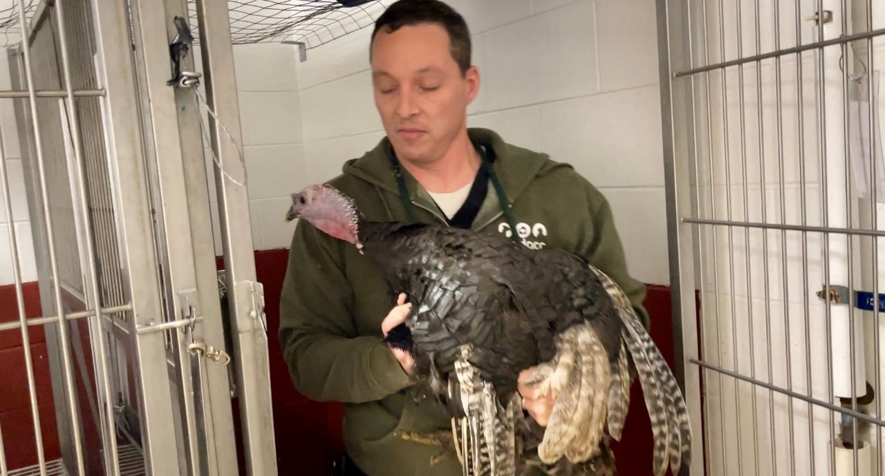 MADACC caring for animals seized from Milwaukee home