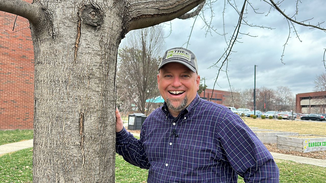 University of Louisville students collecting maple syrup