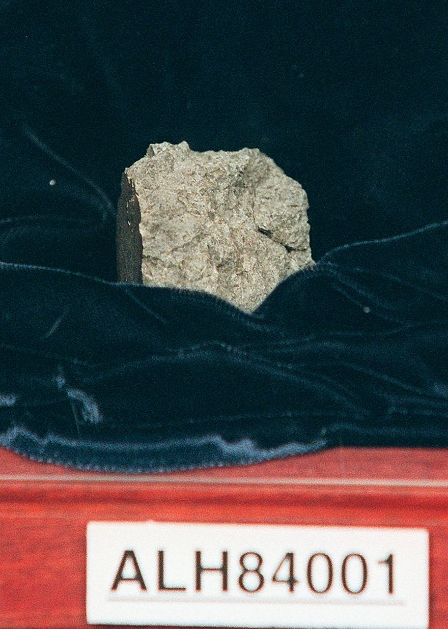 Study nixes Mars life in meteorite found in Antarctica
