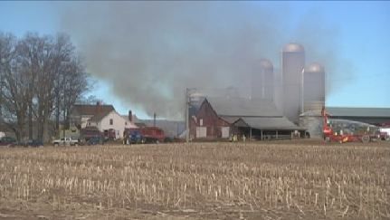 Trooper Helps Save Cows from Burning Oneida County Barn