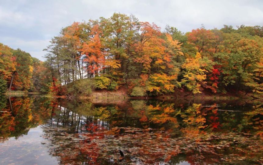 Foliage will be leaving most after this weekend