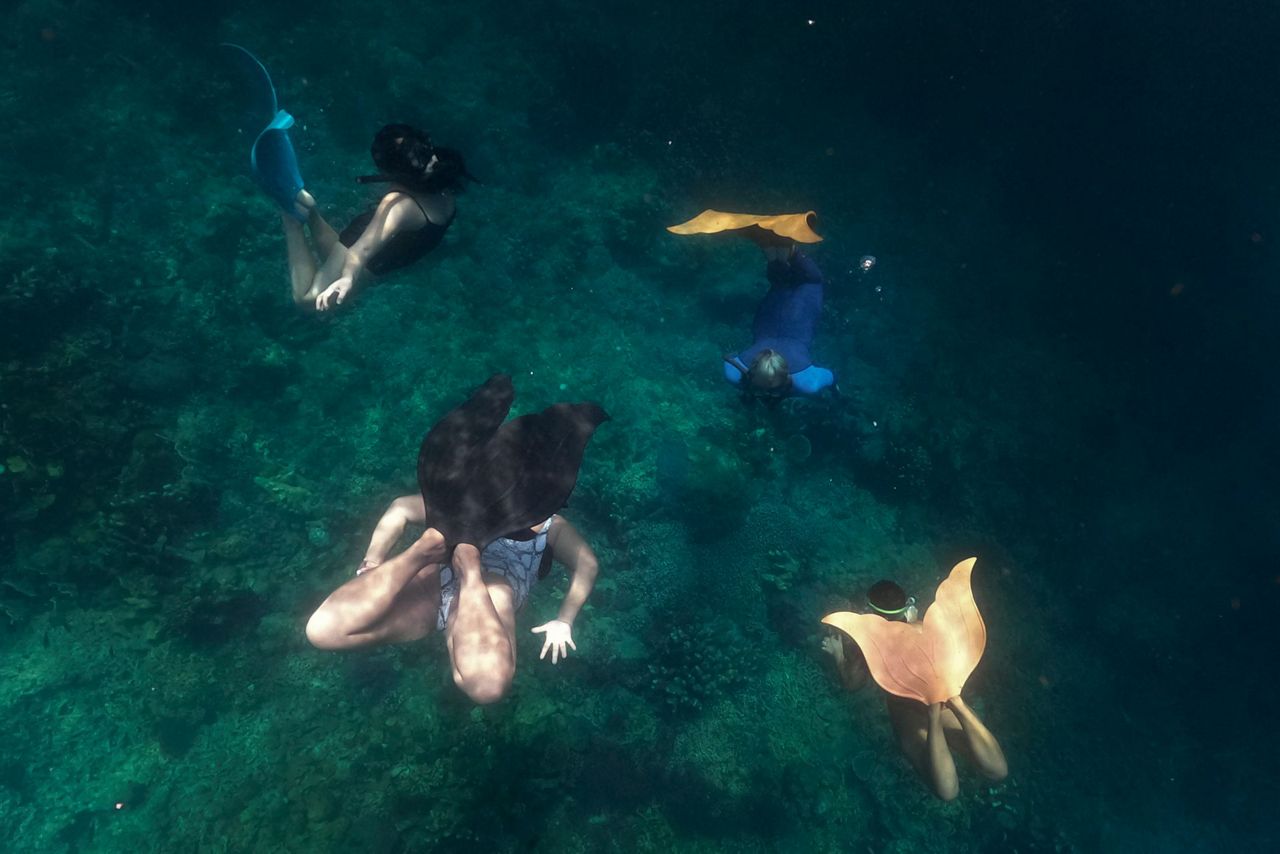 Fin-tastic! Growing 'mermaiding' subculture makes a splash