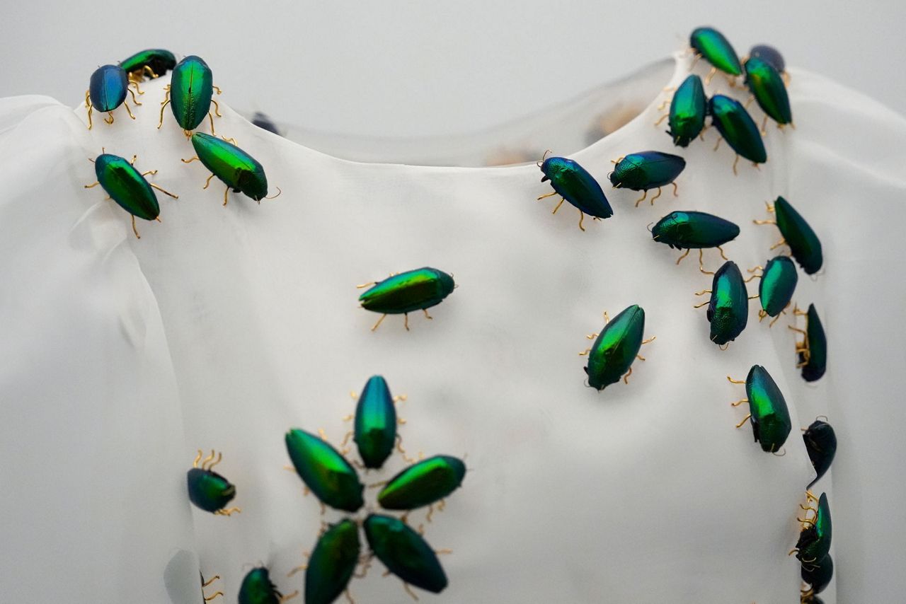 Highlights from the 2024 Met Gala exhibit: Sleeping Beauty would wake ...