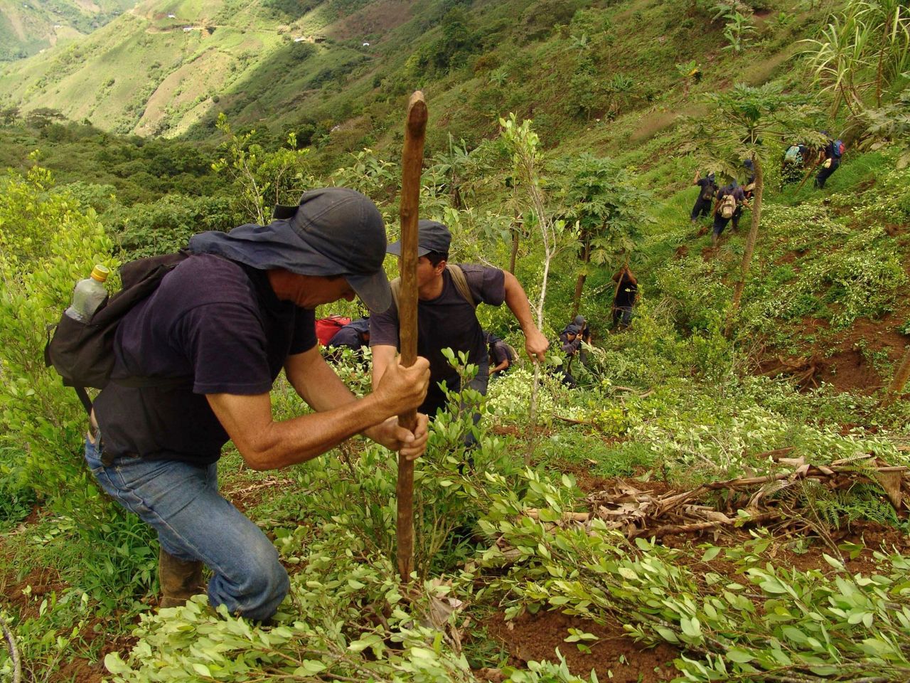Report: 200 environmental activists killed globally in 2021