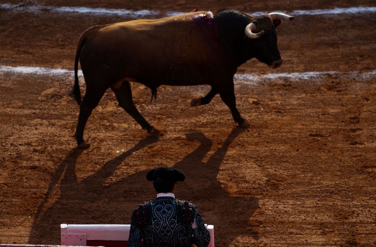 Mexico City legislature may ban bullfighting