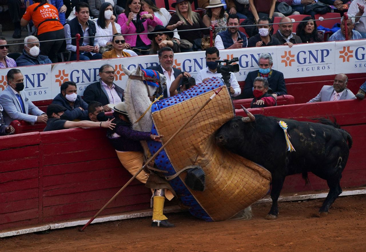 Mexico City legislature may ban bullfighting