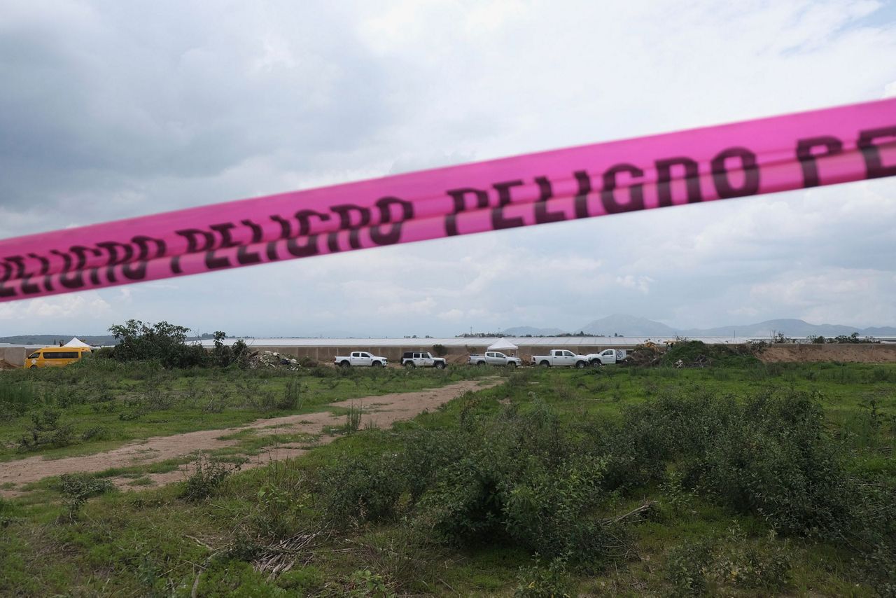 How high-tech tools, and pigs, could help in the search for Mexican ...