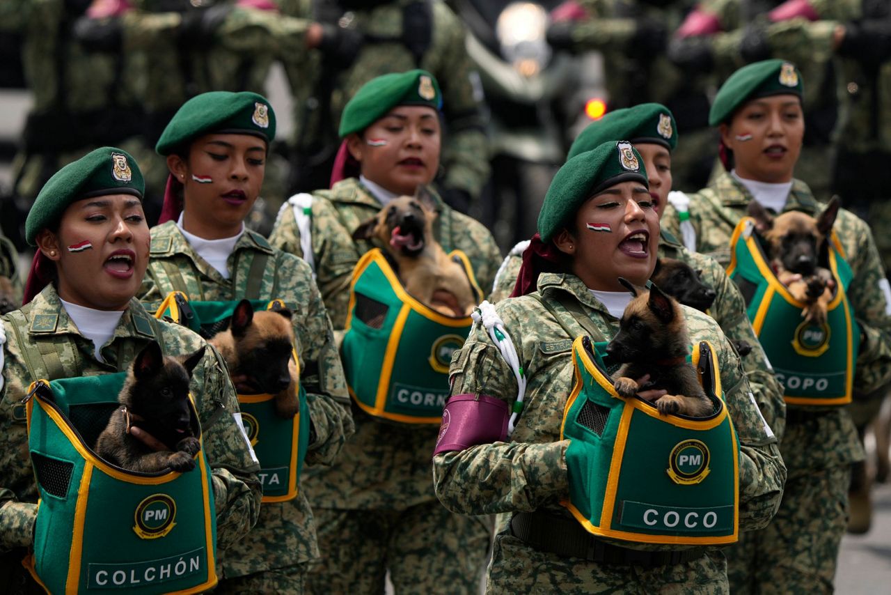 Mexican president defends inclusion of Russian military contingent in ...