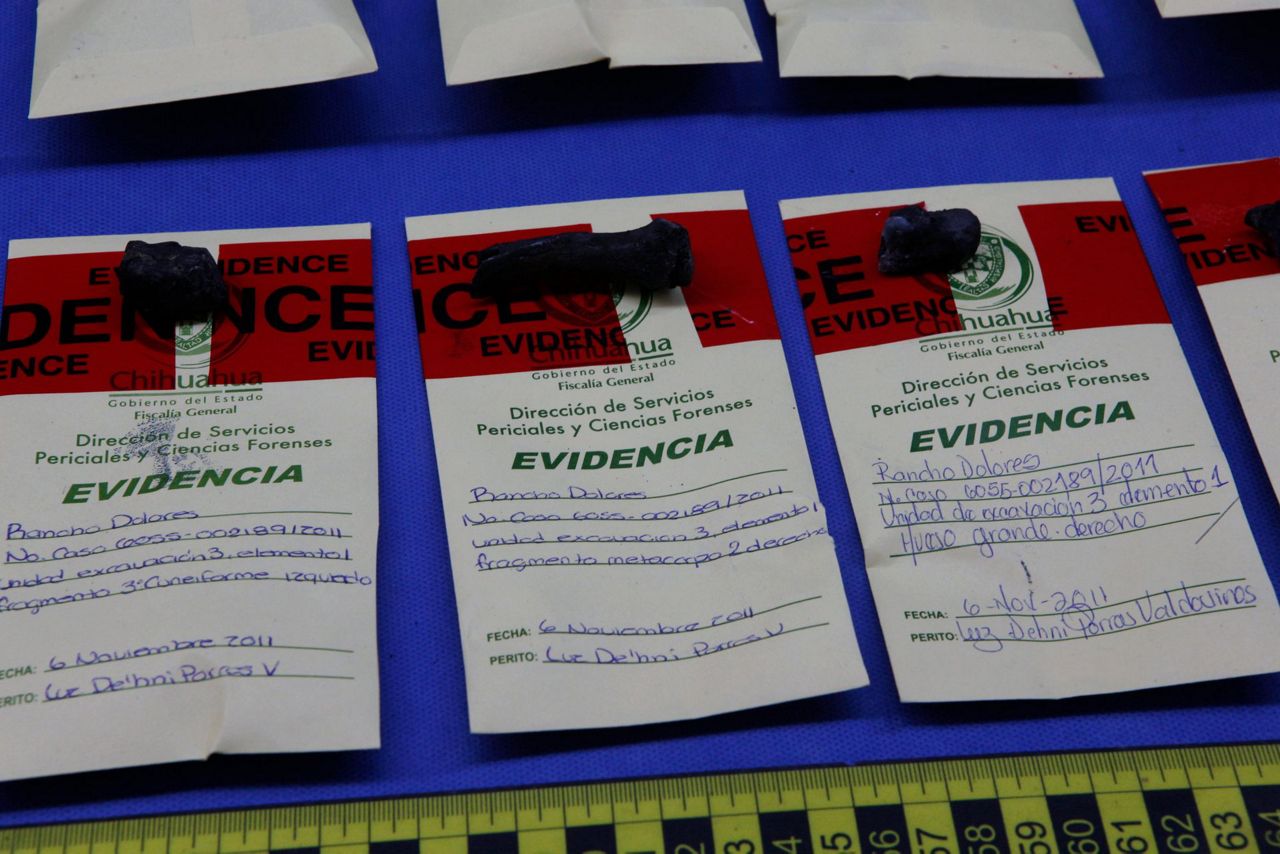 Team studies bones to identify the disappeared in Mexico