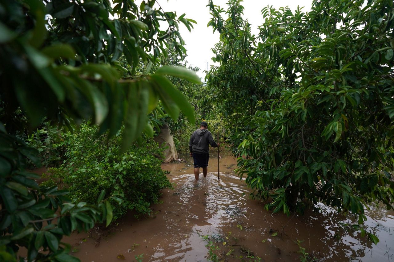 Hurricane Orlene roars toward Mexico's Pacific coast