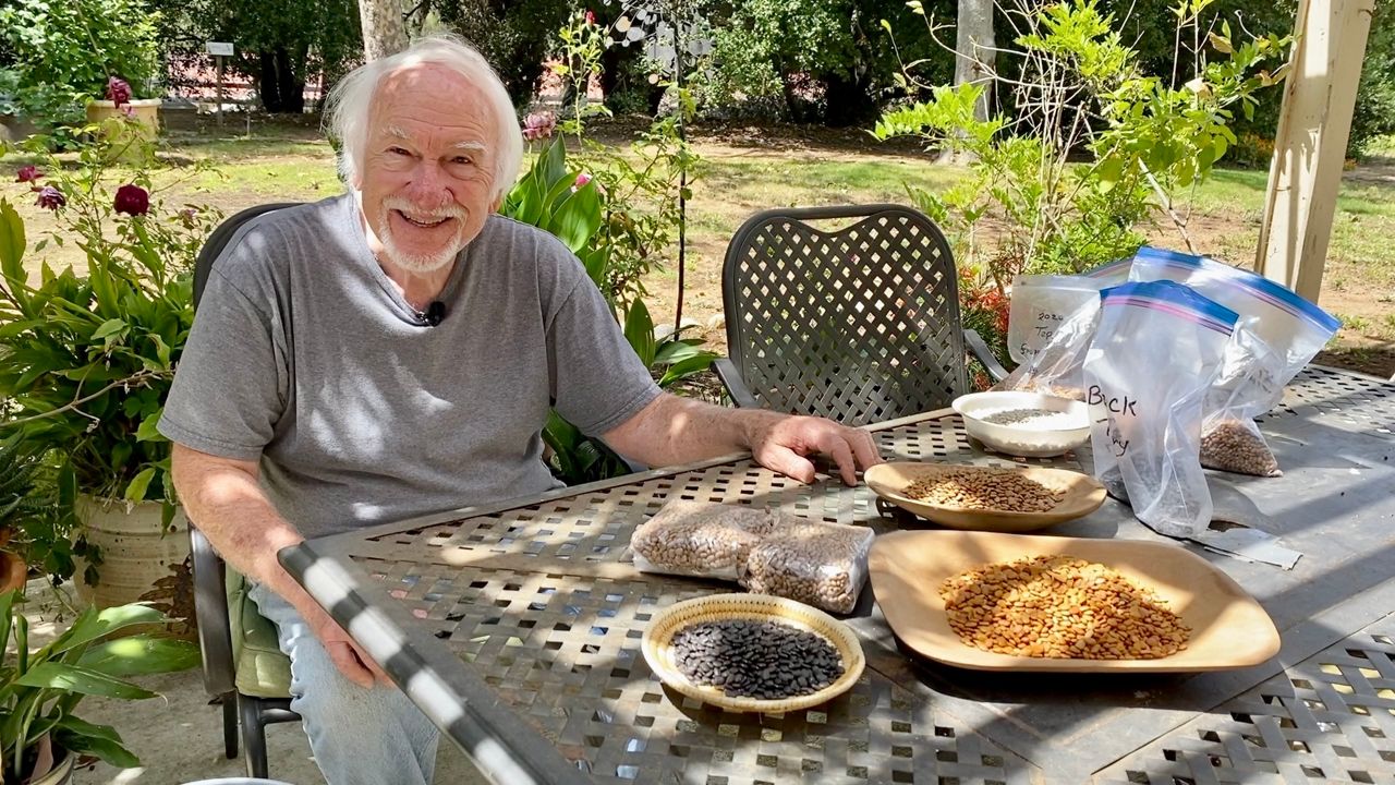 Scientists discover heat triggers root growth