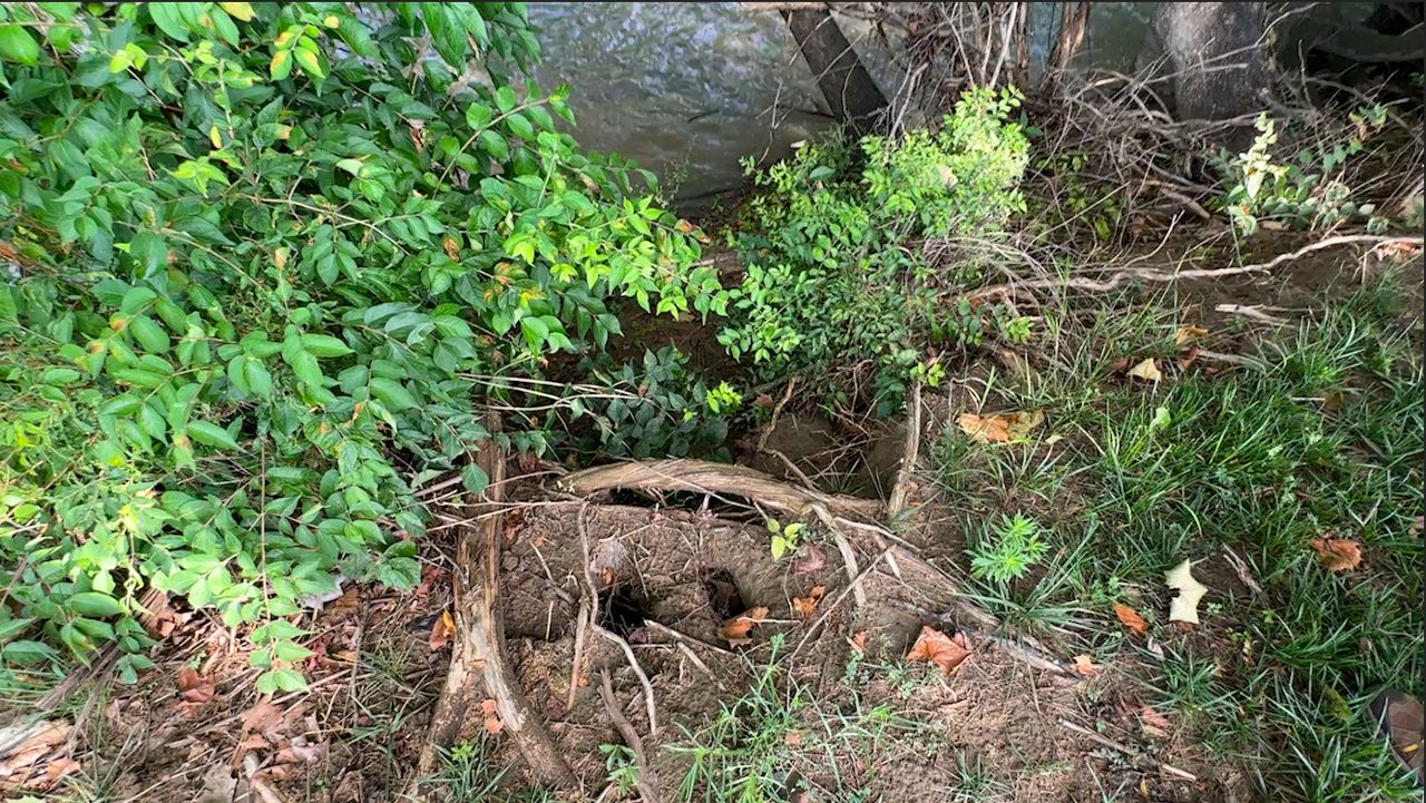 Decades of effort restoring Cincinnati’s Mill Creek pays off