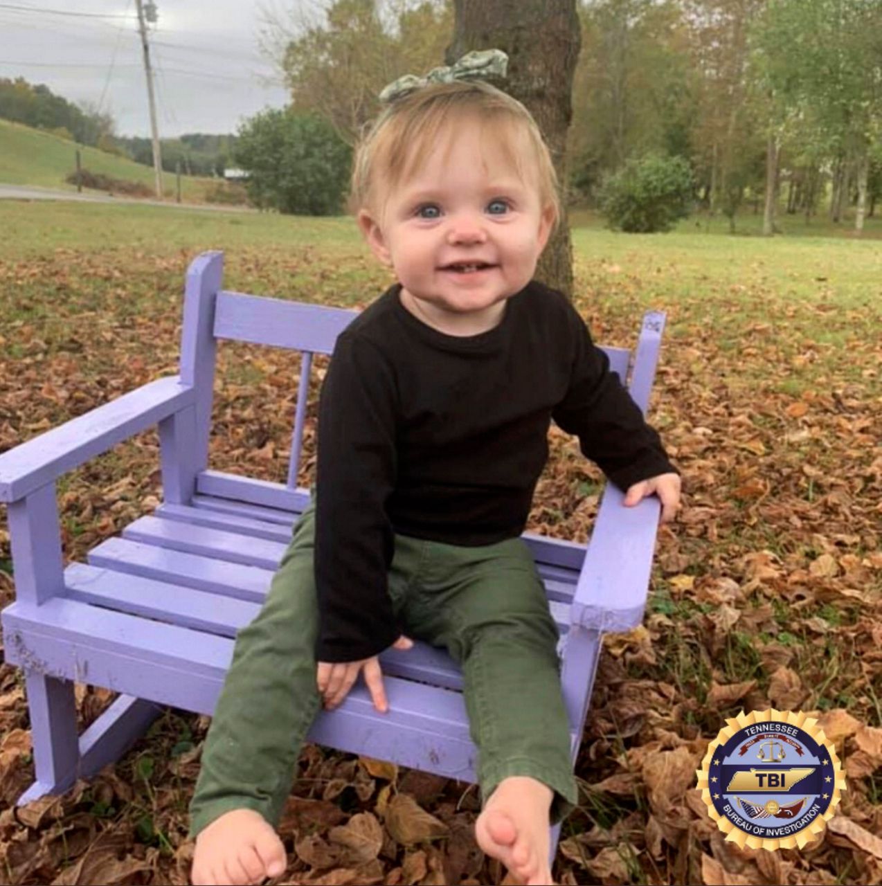 Missing toddler's remains believed found in Tennessee