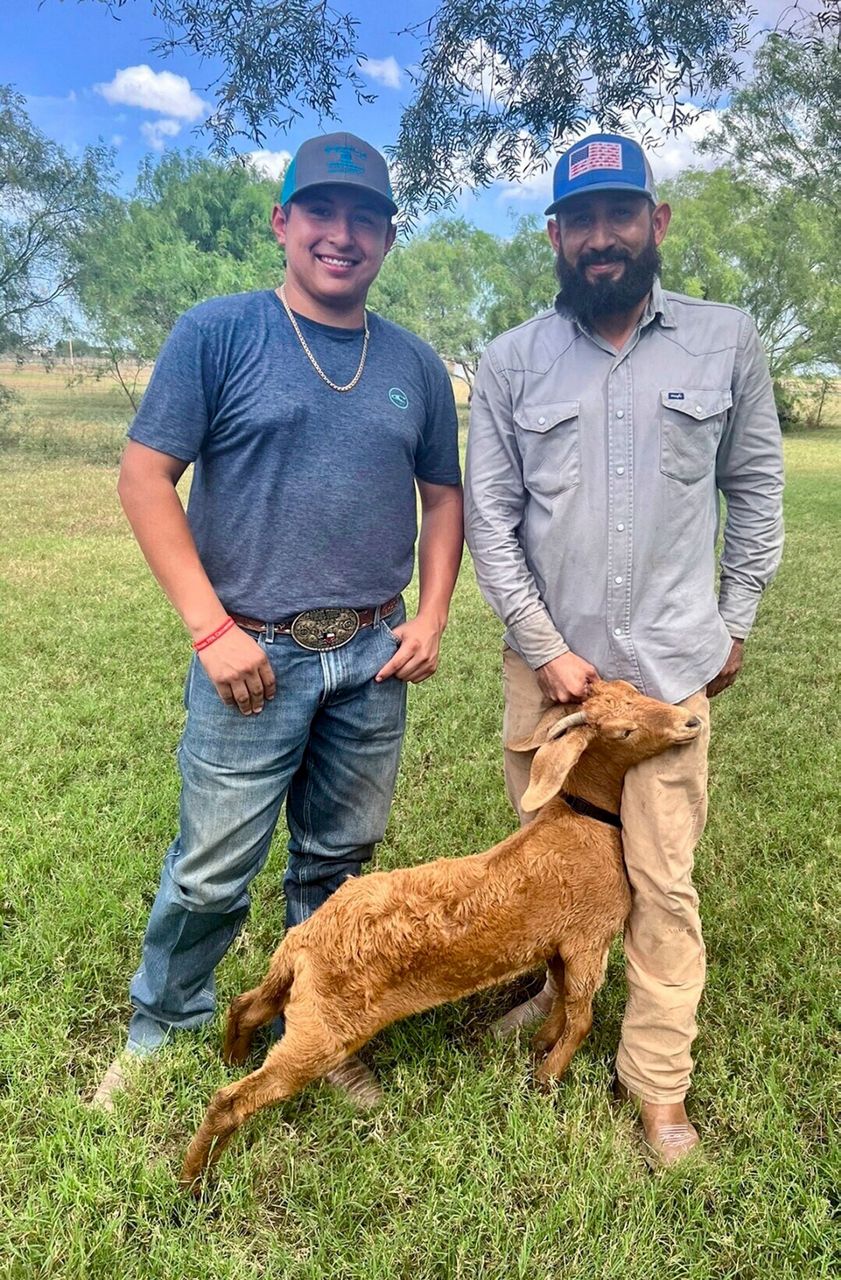 Willy the Texas rodeo goat, on the lam for weeks, has been found safe